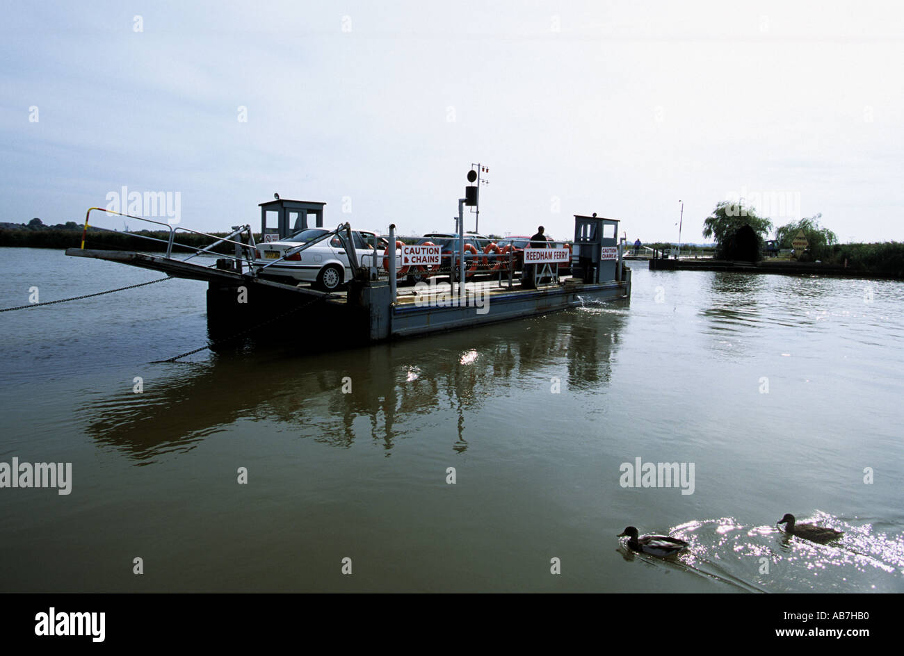 Reedham chain ferry crossing the river Yare, Norfolk, UK Stock Photo ...