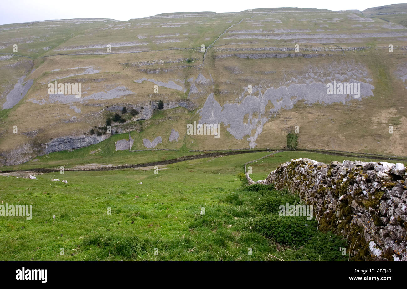 Limestone outcrop Conservation Area near Settle North Yorkshire ...
