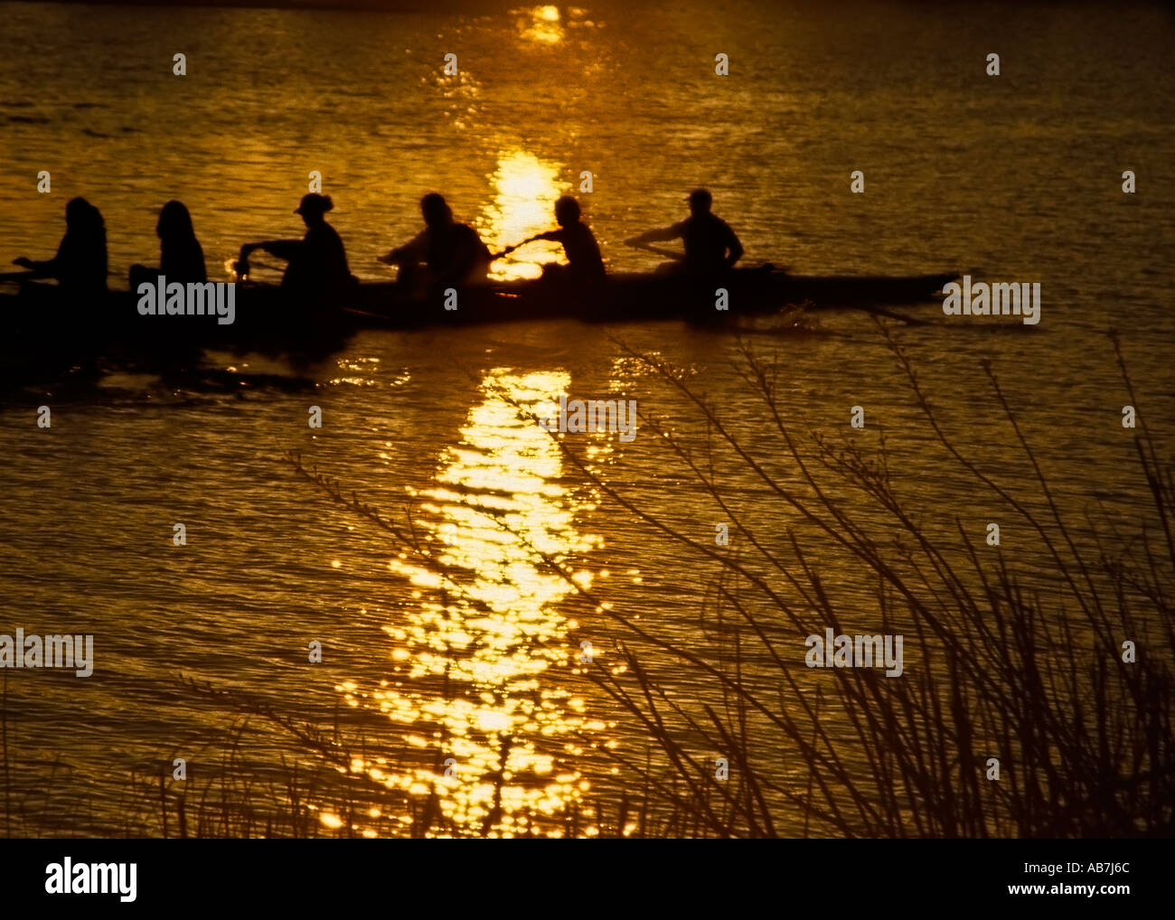 College rowing team practicing on the Charles River in Boston MA Stock ...