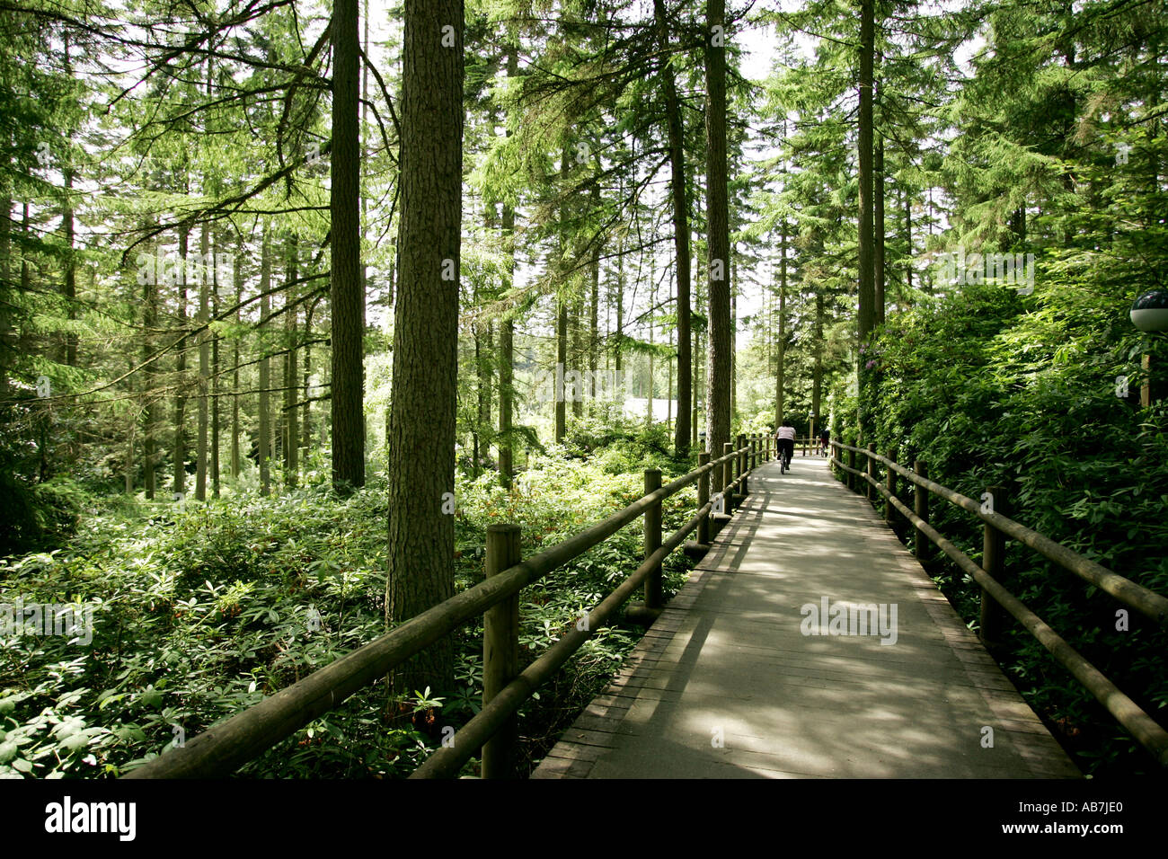 centre parcs longleat woodland trails Stock Photo - Alamy
