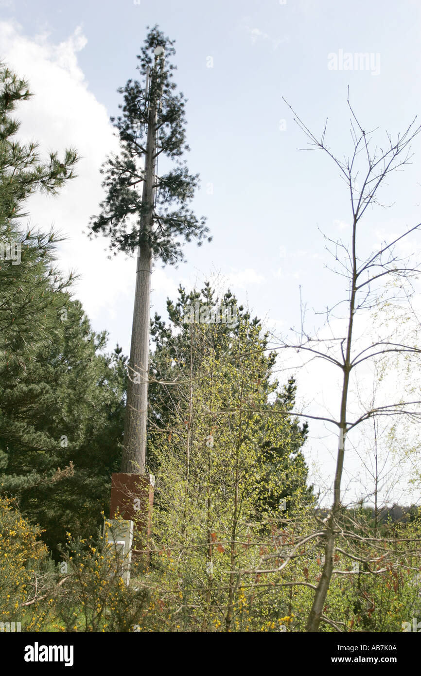 Phone mast disguised as tree so as to fit in with country surroundings ...