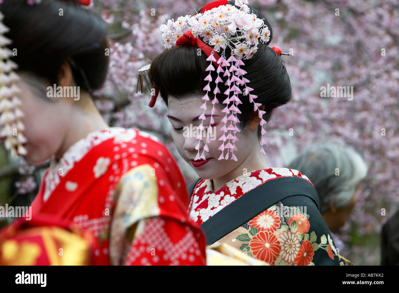Geisha , Kyoto , Japan Stock Photo - Alamy
