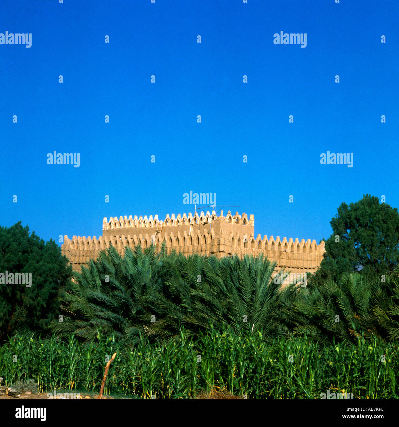 Najaran Saudi Arabia Fort & Oasis Stock Photo - Alamy