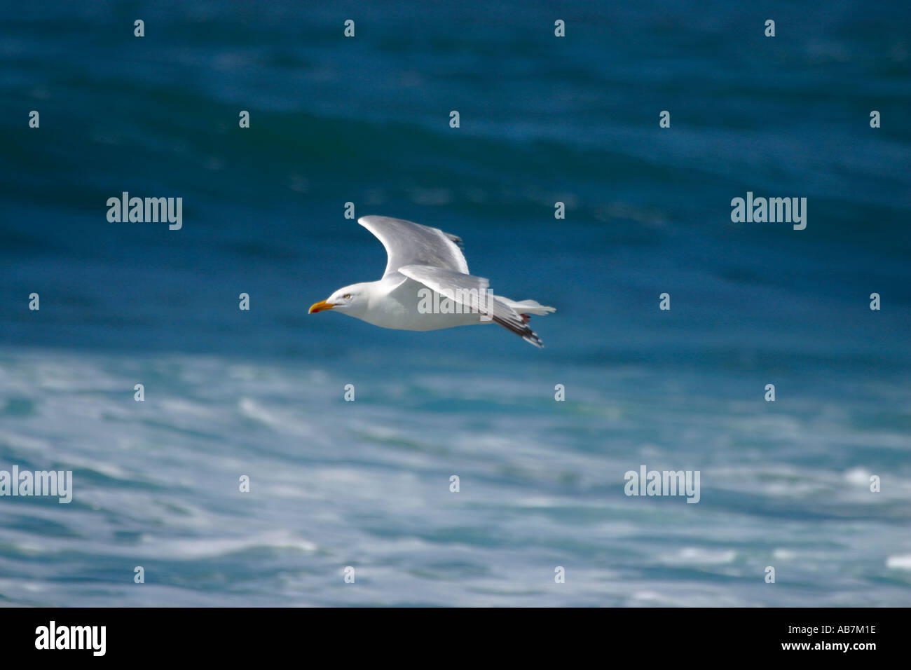 Flying over ocean hi-res stock photography and images - Alamy