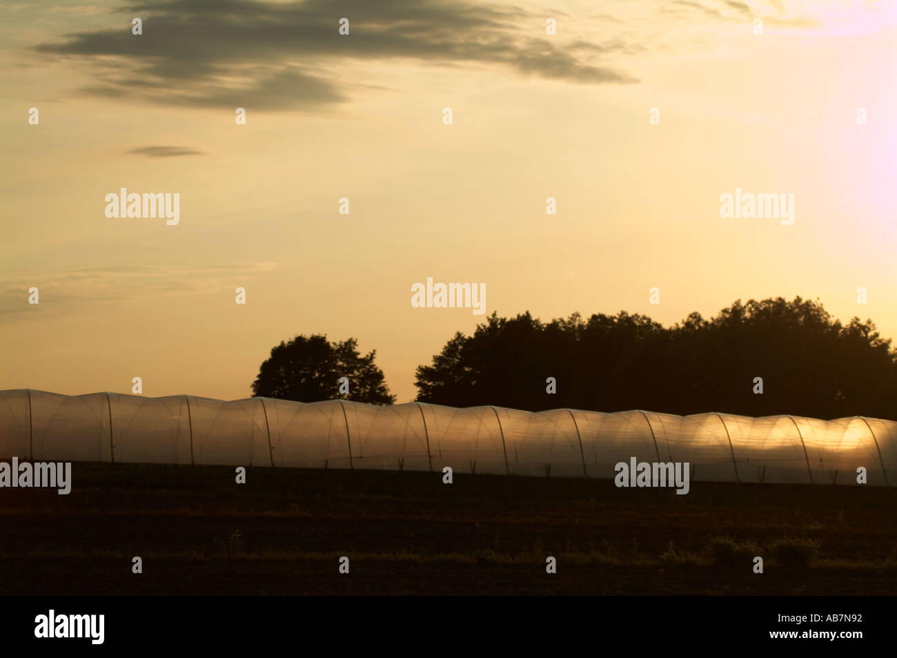 Plastic sheeting factory hi-res stock photography and images - Alamy