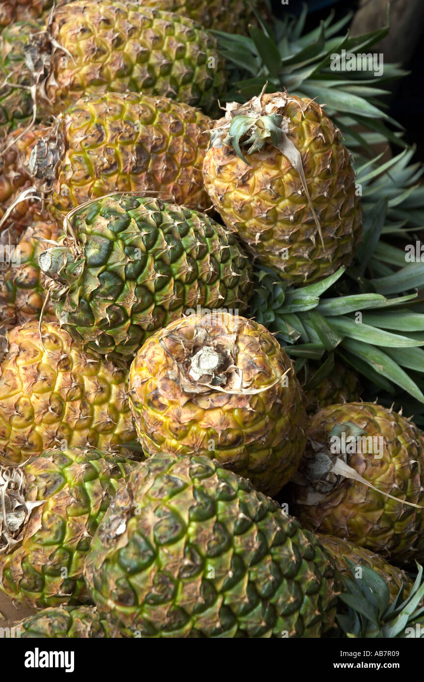 pineapple stack Costa Rica Stock Photo - Alamy