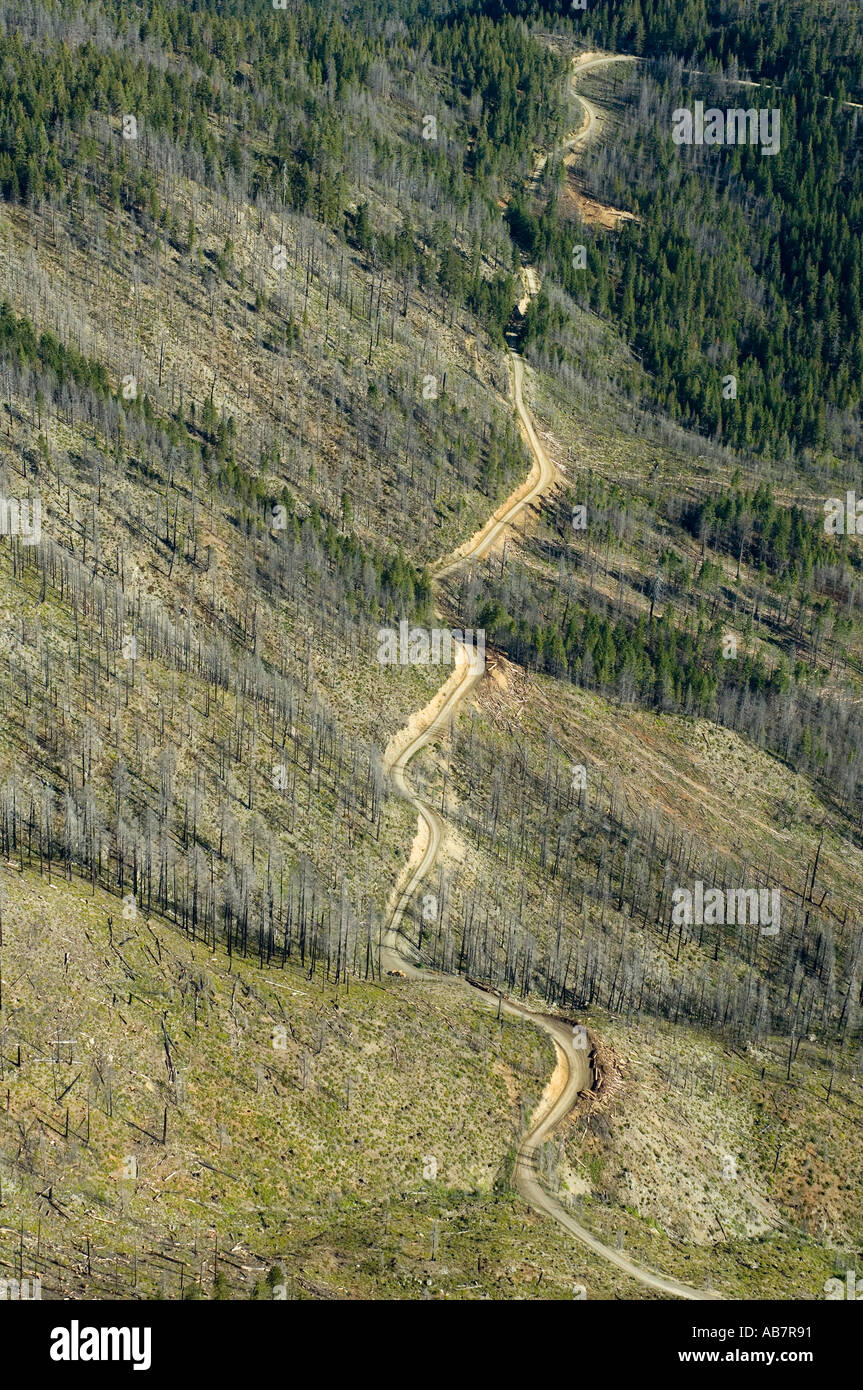 Logging in oregon forest aerial hi-res stock photography and images - Alamy