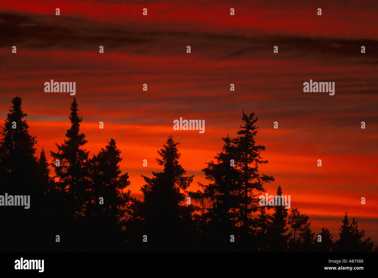 Winter Sunset in Finland Stock Photo - Alamy