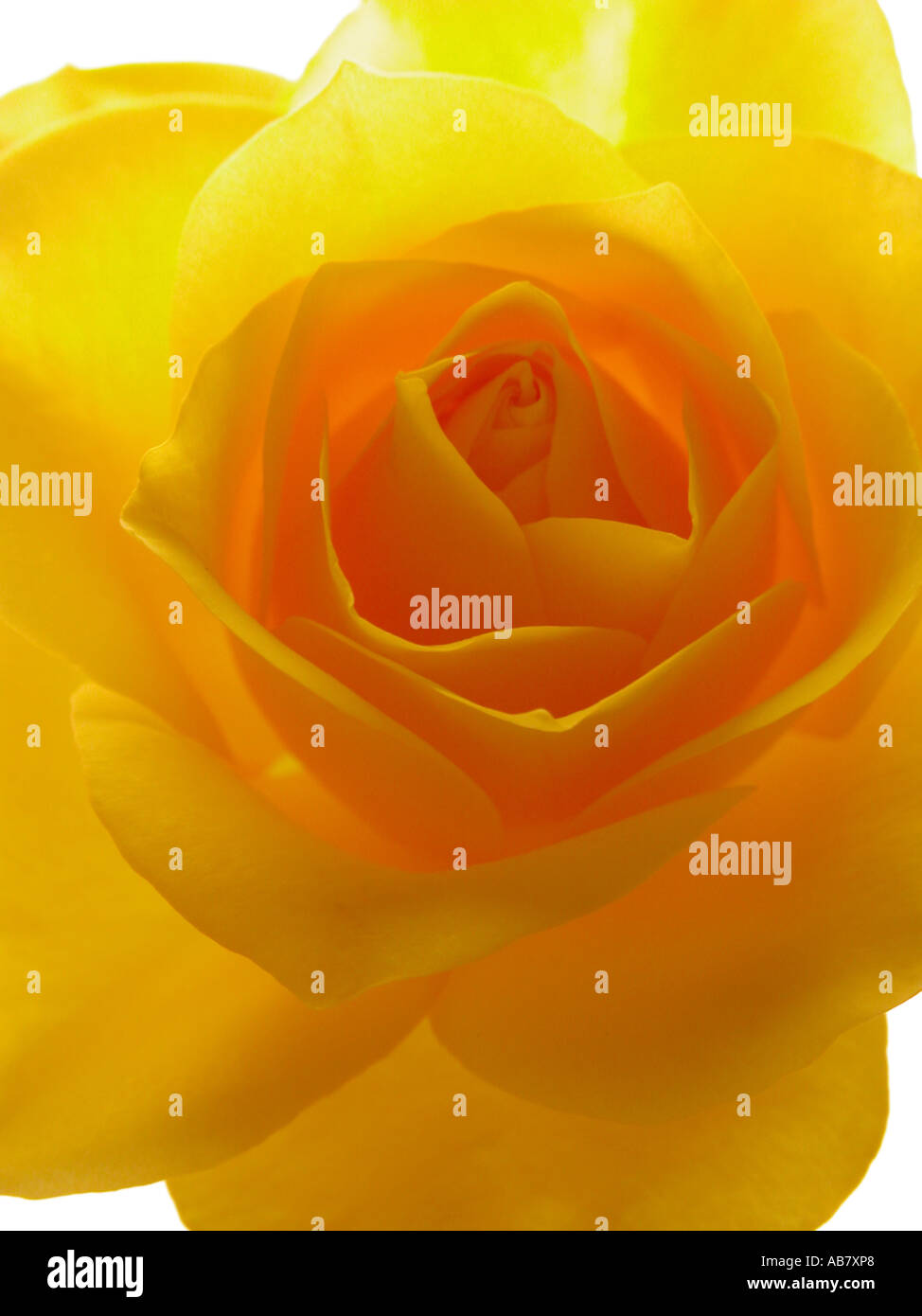 Cutted out b huess section hi-res stock photography and images - Alamy