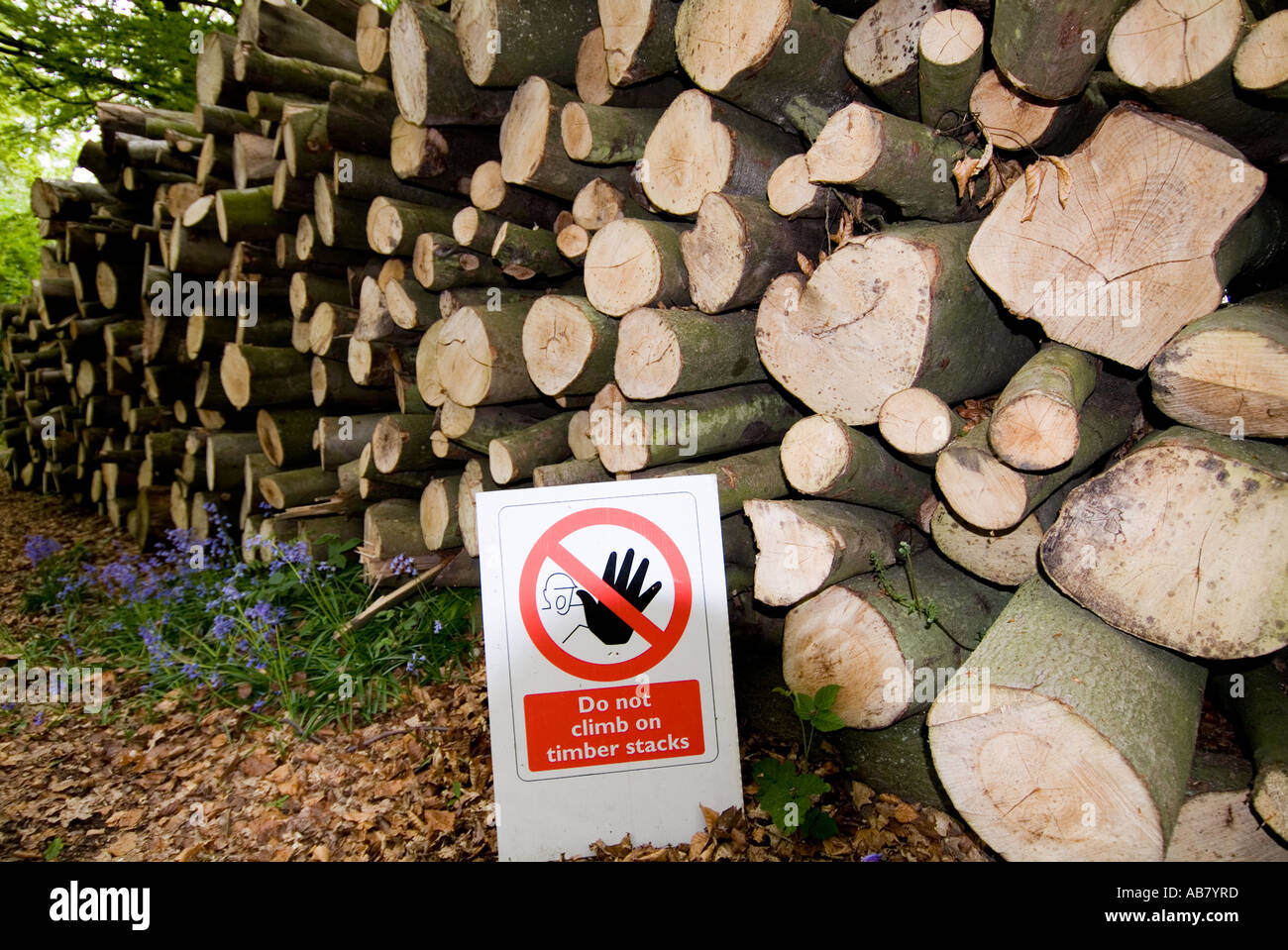 Timber sign hi-res stock photography and images - Alamy