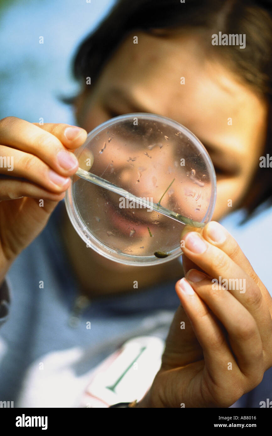 Girl holding petri dish Stock Photo - Alamy