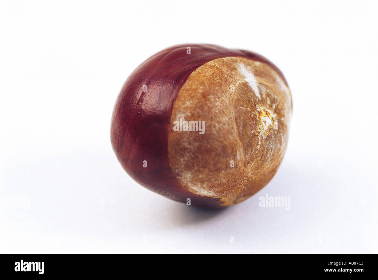 The chestnut hi-res stock photography and images - Alamy