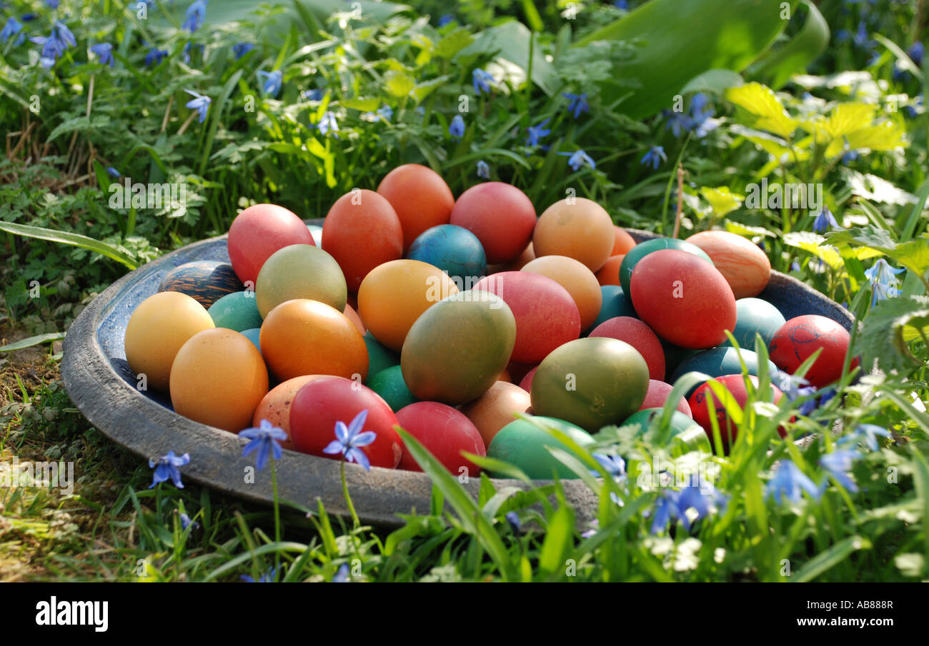 Easter eggs in the grass Stock Photo - Alamy