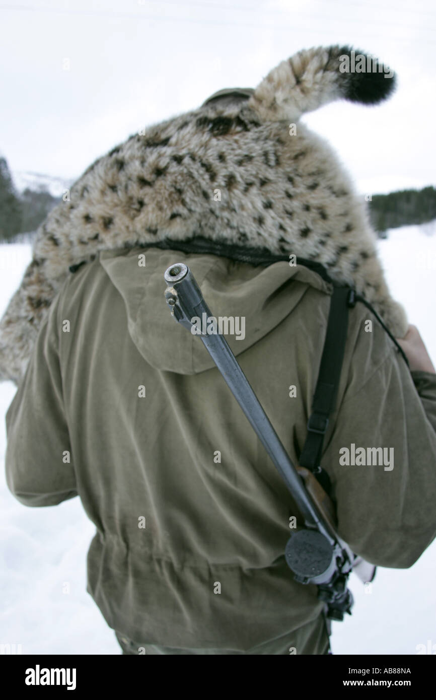 northern lynx (Lynx lynx lynx), Dead lynx at feet of lynx hunter ...