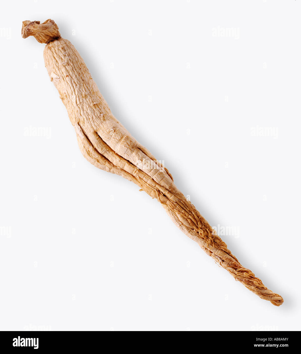 Raw Ginseng root on white background Stock Photo - Alamy