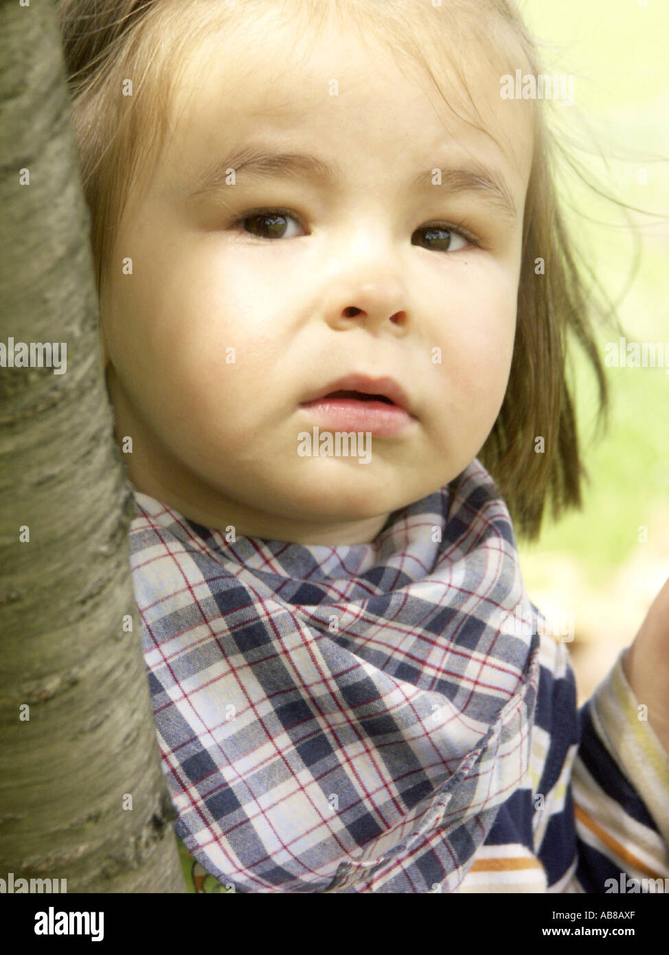 kid hiding behind tree Stock Photo - Alamy