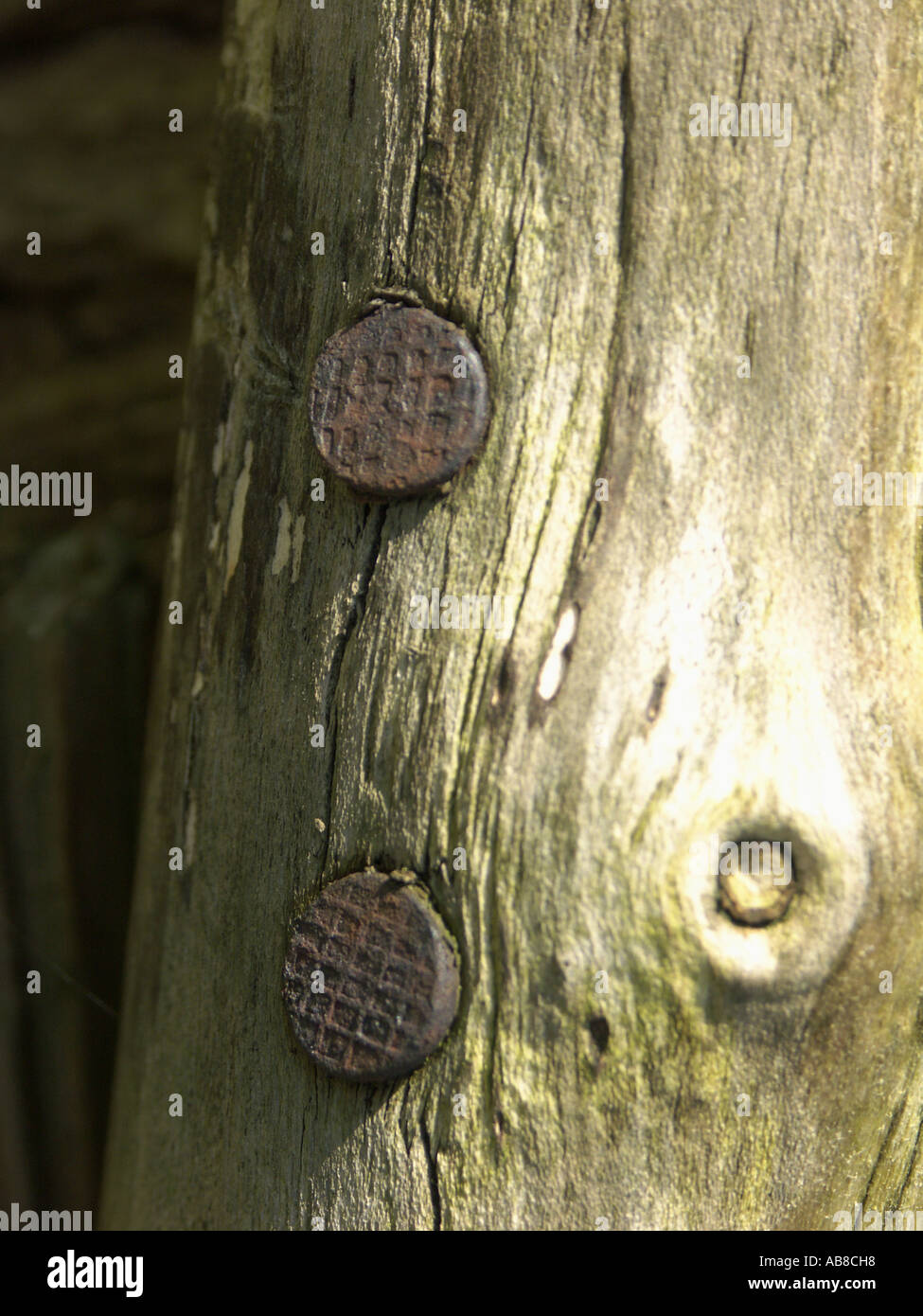 Fence post with nails hi-res stock photography and images - Alamy