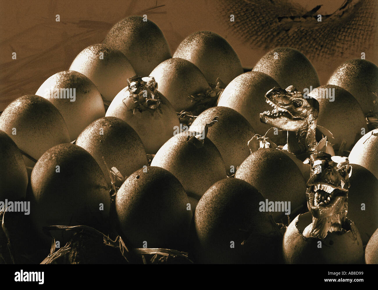 Dinosaur eggs hi-res stock photography and images - Alamy