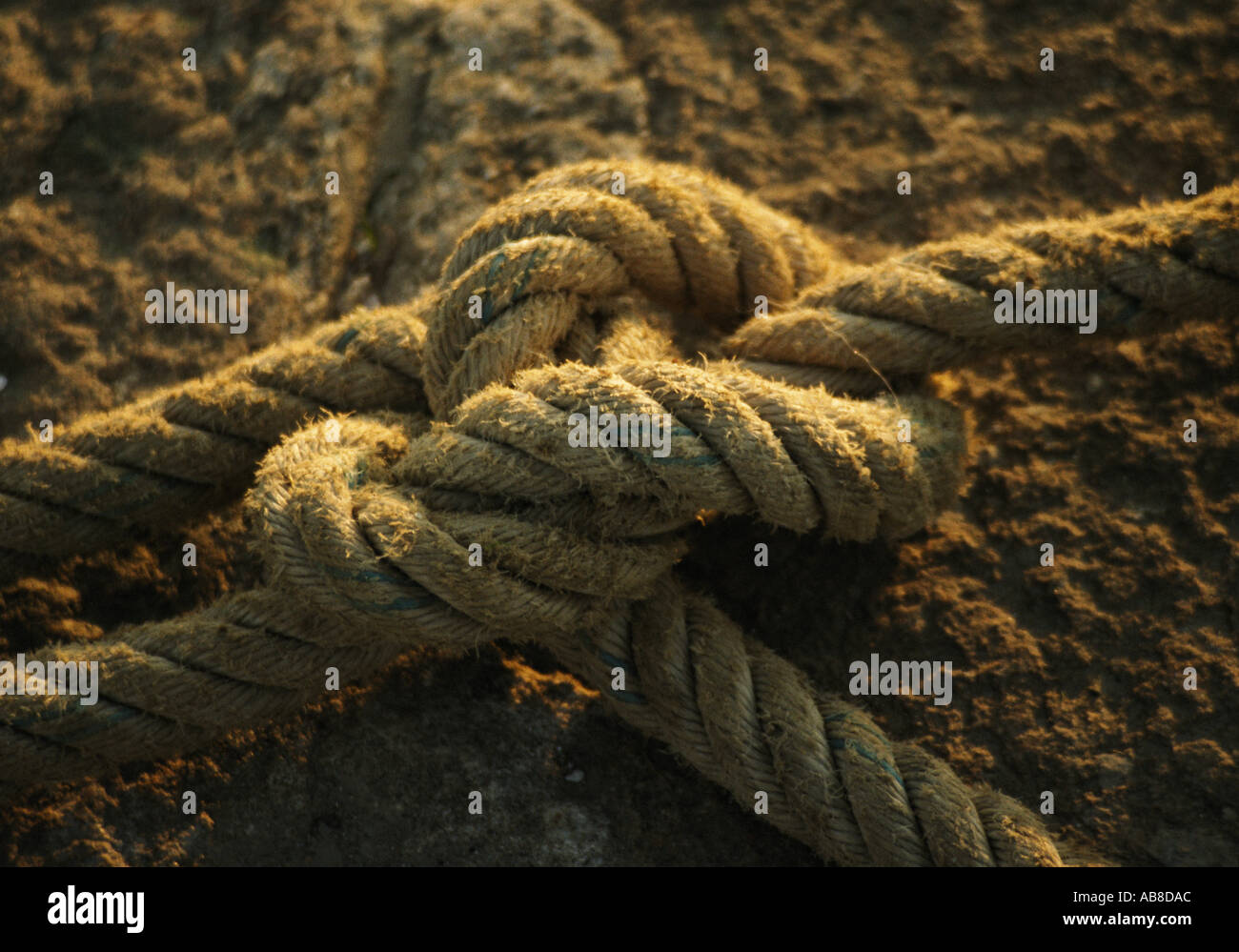 Rope Texture Up Close High Resolution Stock Photography and Images - Alamy
