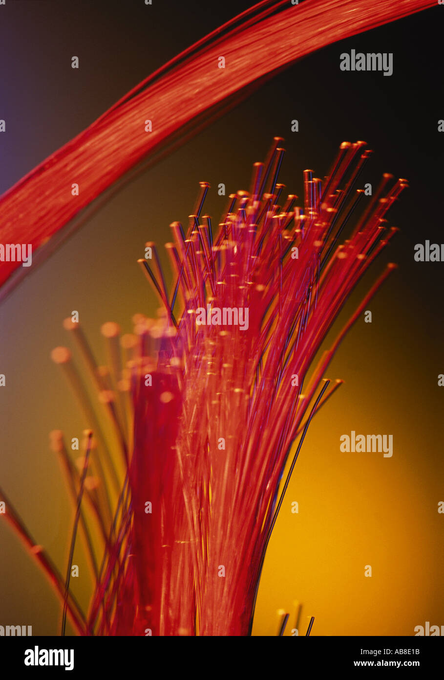 Fiber optic cable Stock Photo - Alamy