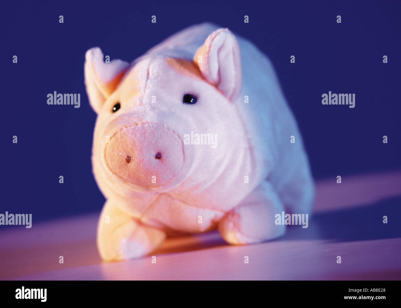 Fluffy pig toy hi-res stock photography and images - Alamy