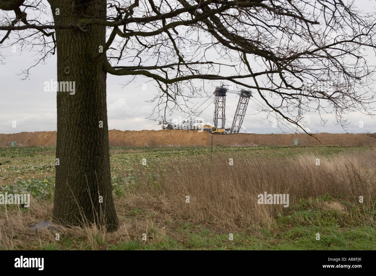Excavator with old oak tree Otzenrath Germany Stock Photo - Alamy