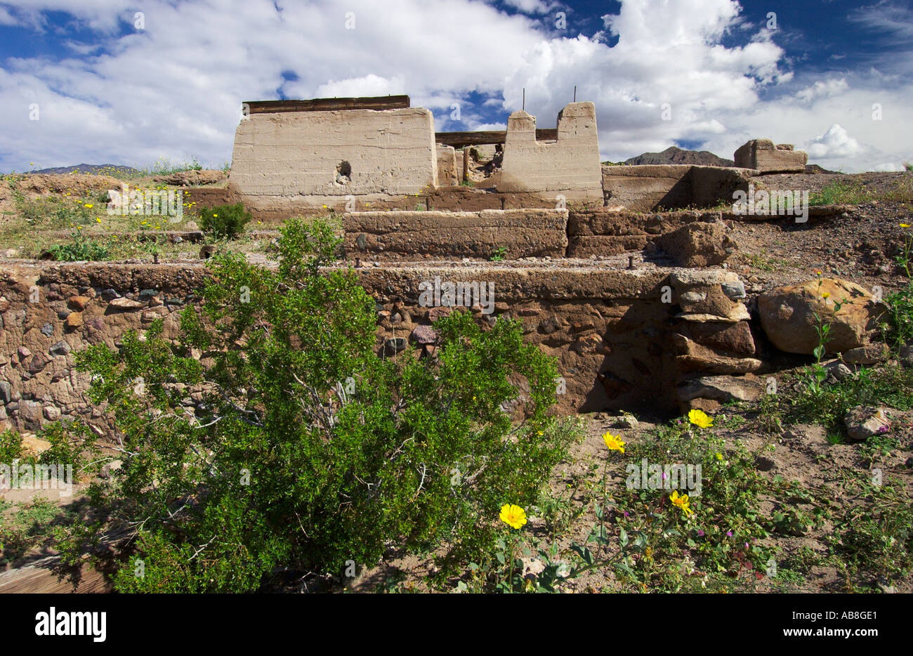 Desert gold Gereae canescens and the Ashford Mill ruins in Death Valley ...