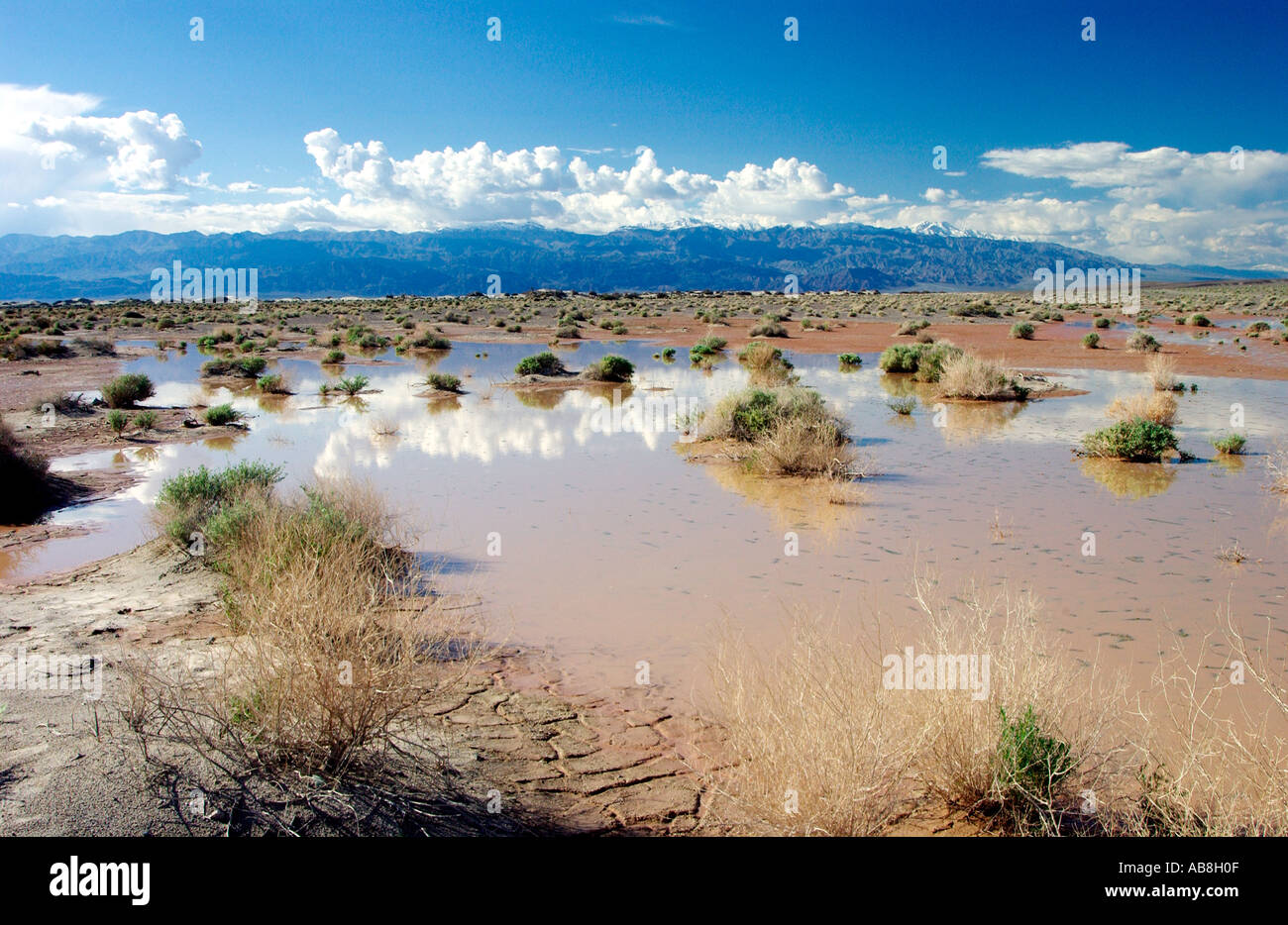 Death valley national park flood hi-res stock photography and images ...