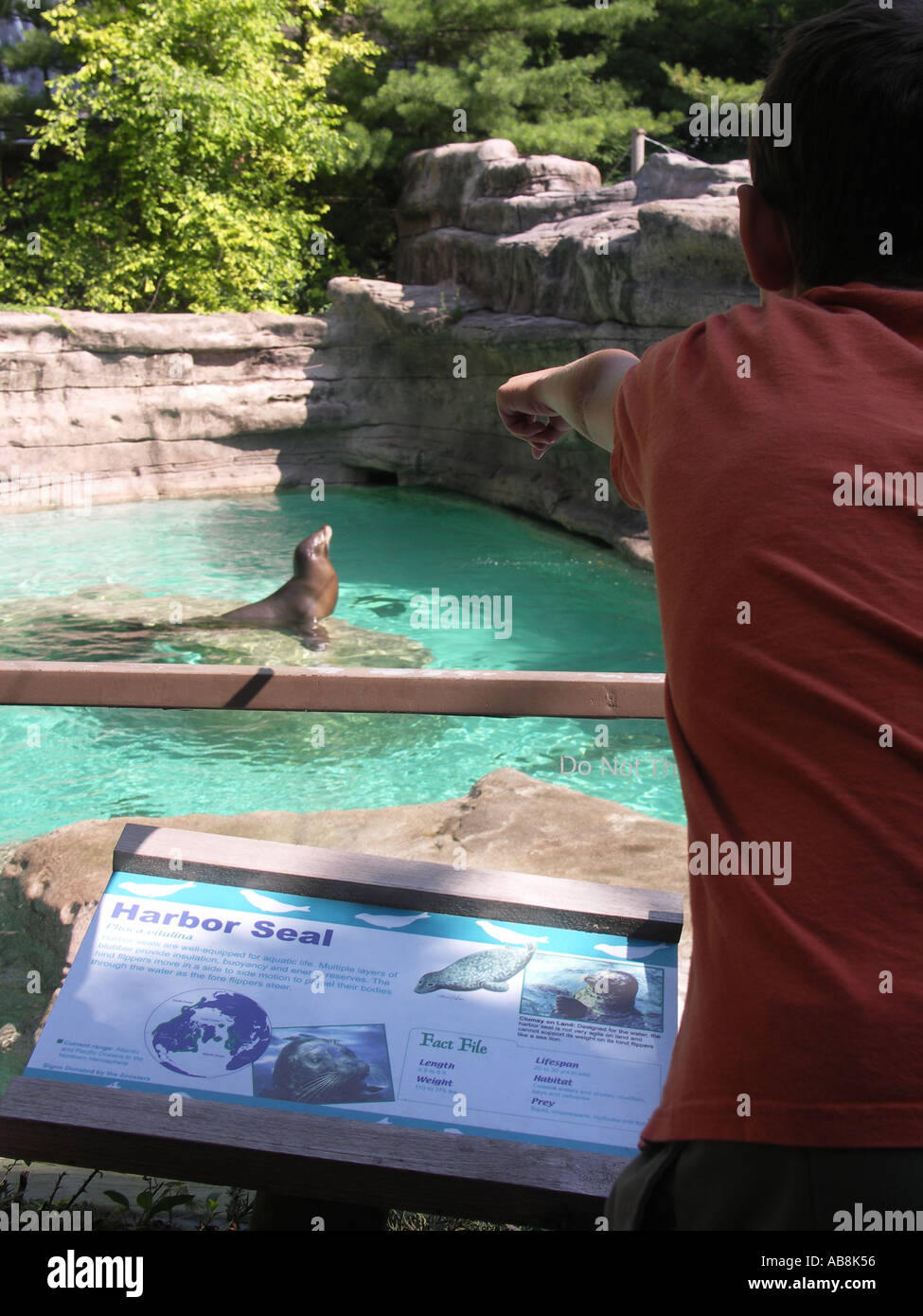 Harbor Seal Exhibit Stock Photo - Alamy