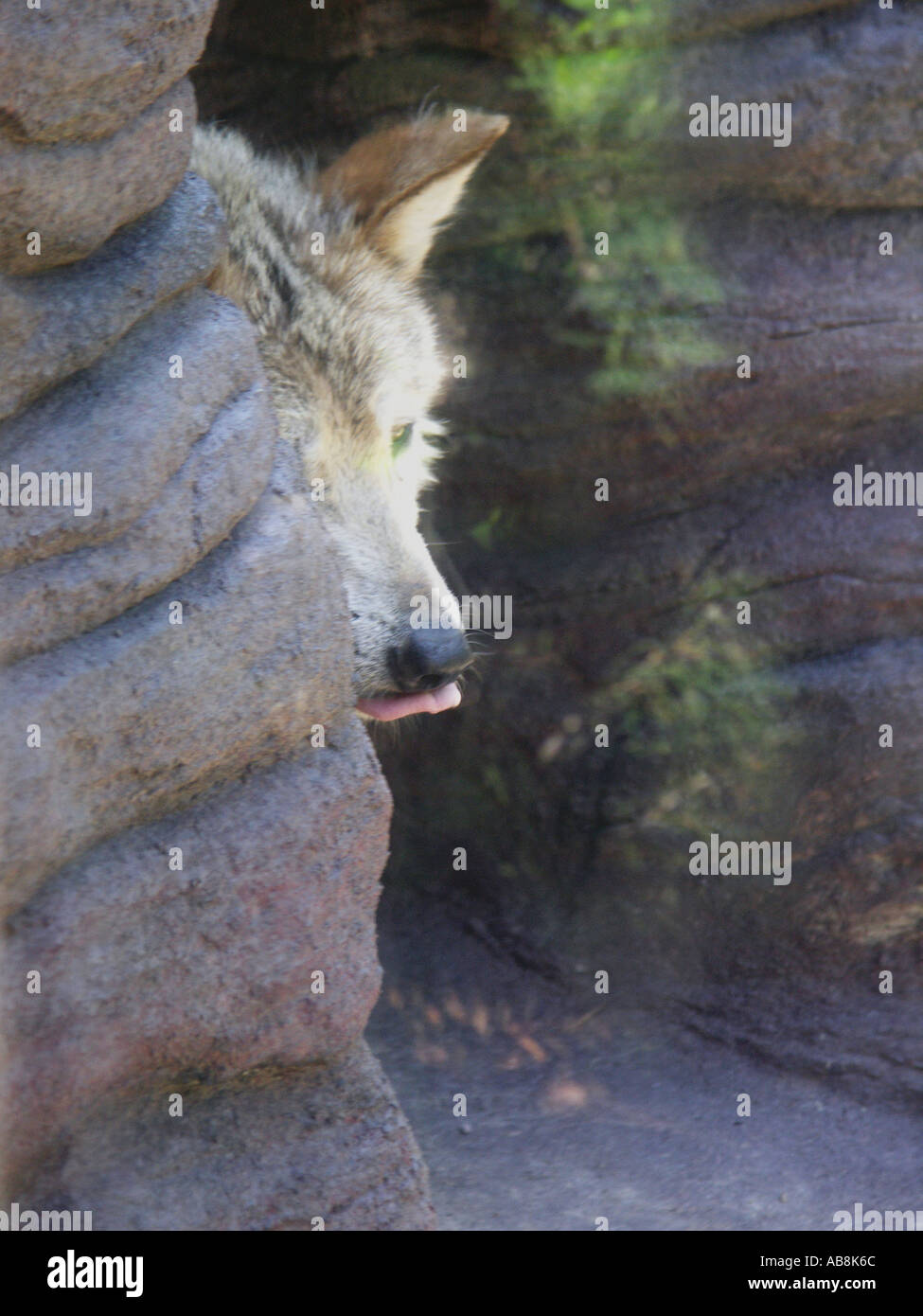 Hiding in cave hi-res stock photography and images - Alamy