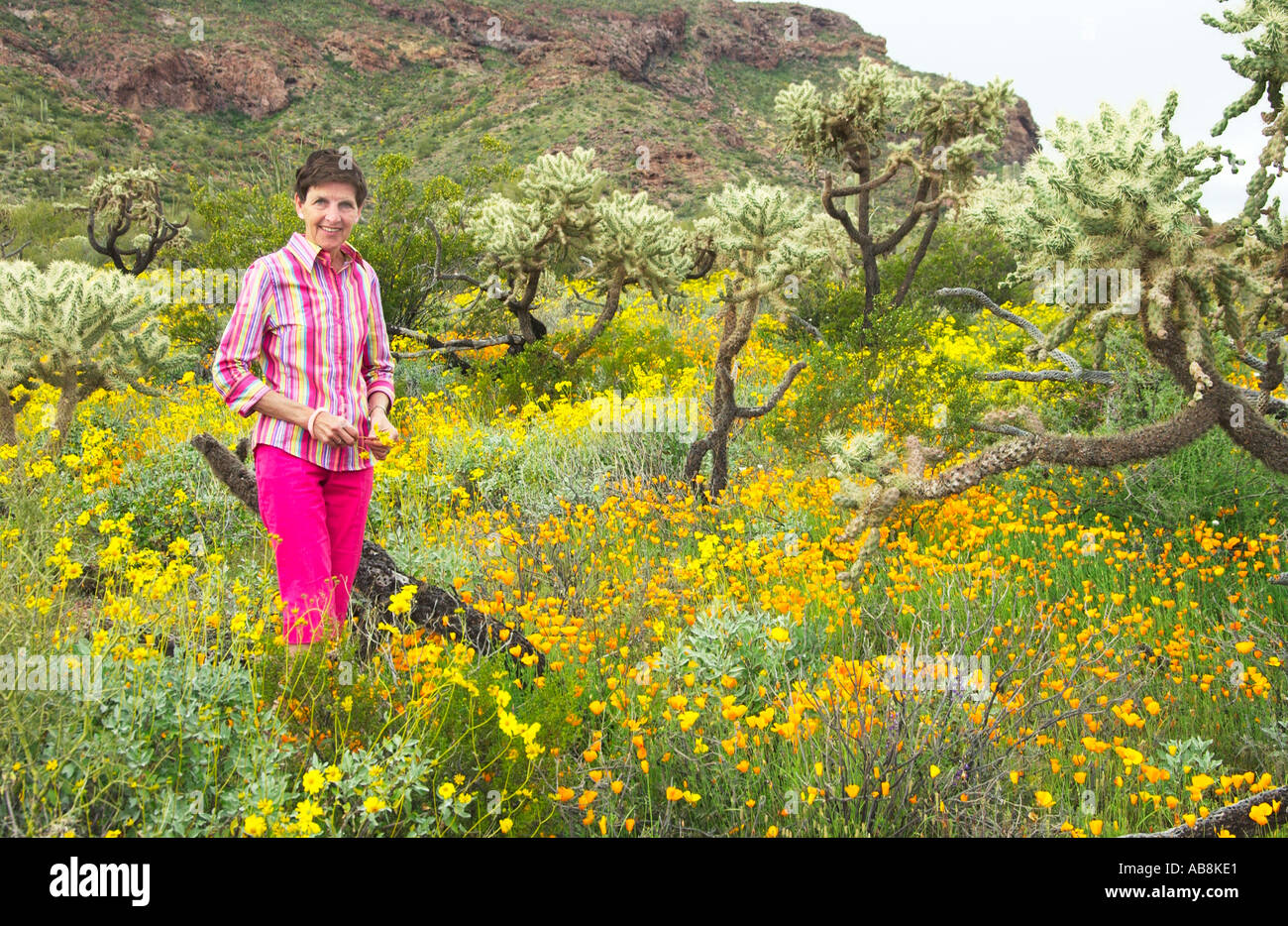 A female model with spring wildflowers and cactus in the Organ Pipe ...