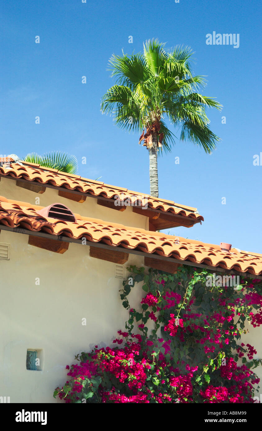 Spanish architecture and tropical foliage in Palm Springs California ...