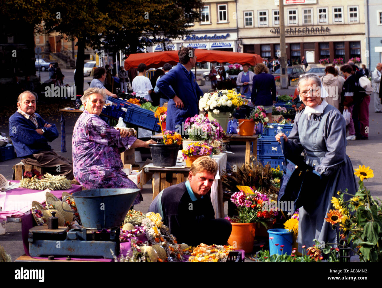 Germany national flower hi-res stock photography and images - Alamy