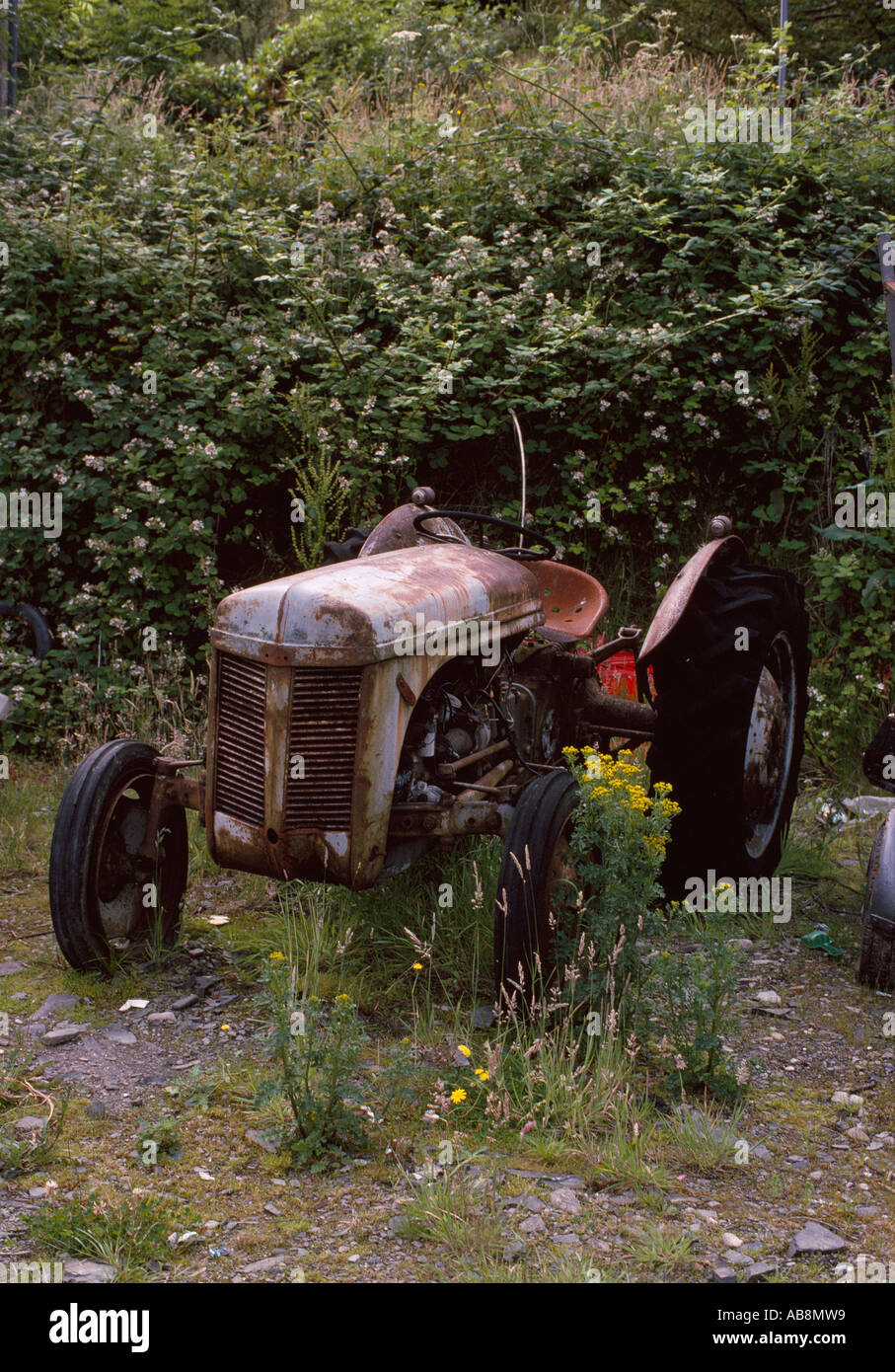 Rusty old farm tractor Stock Photo - Alamy