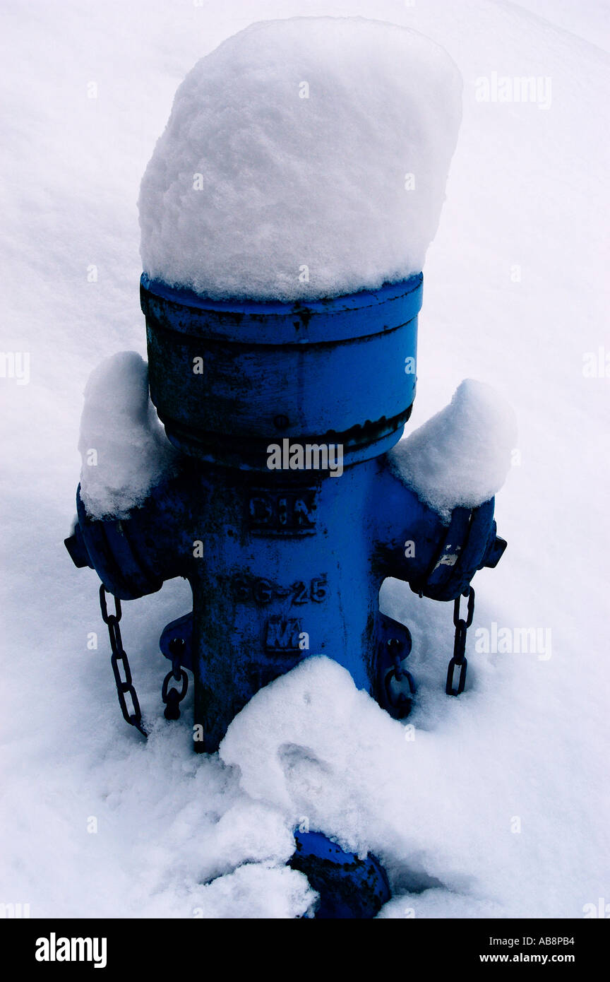 snow covered hydrant Stock Photo - Alamy