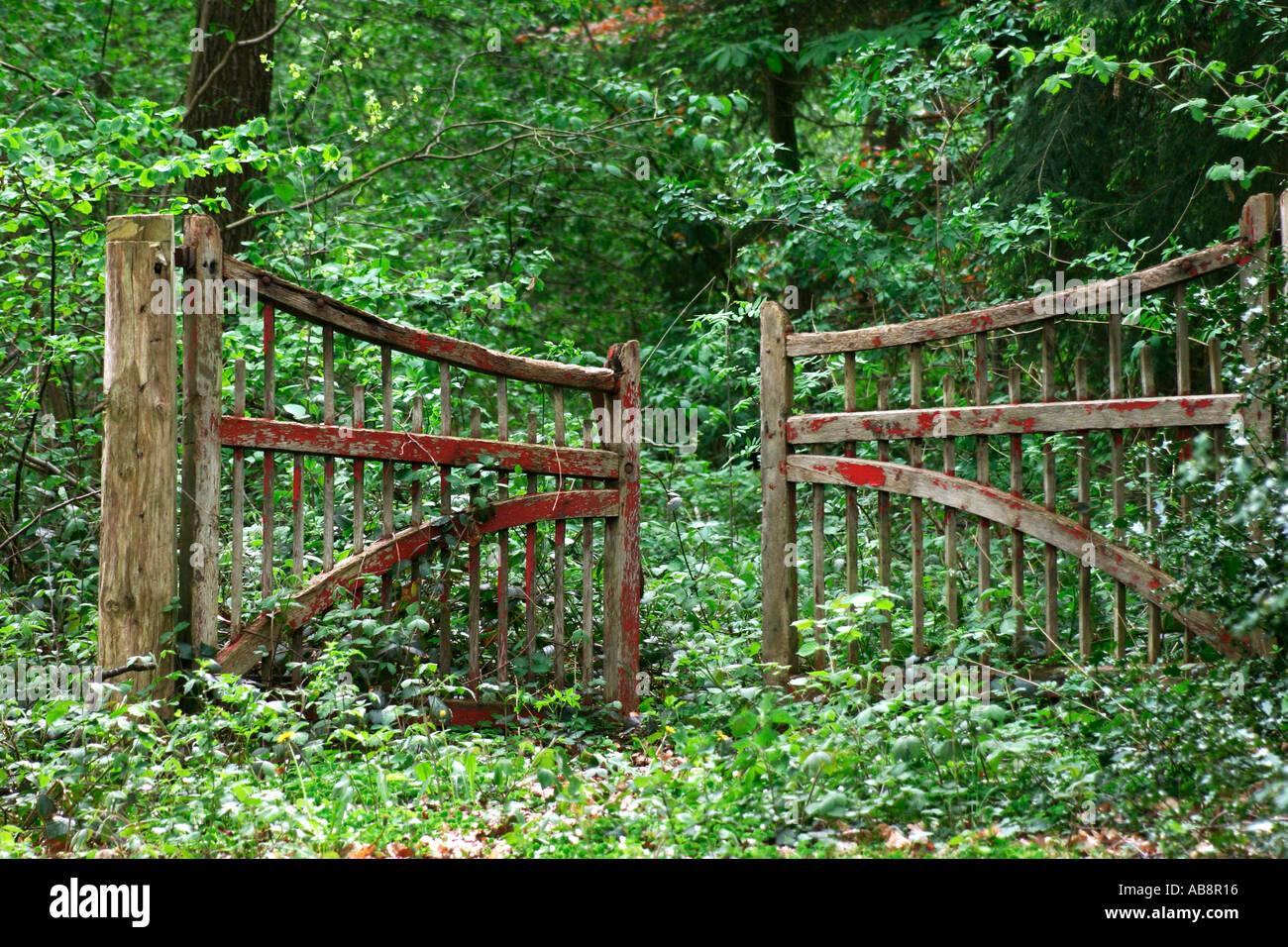 Countryside gate rural secluded trees hi-res stock photography and ...