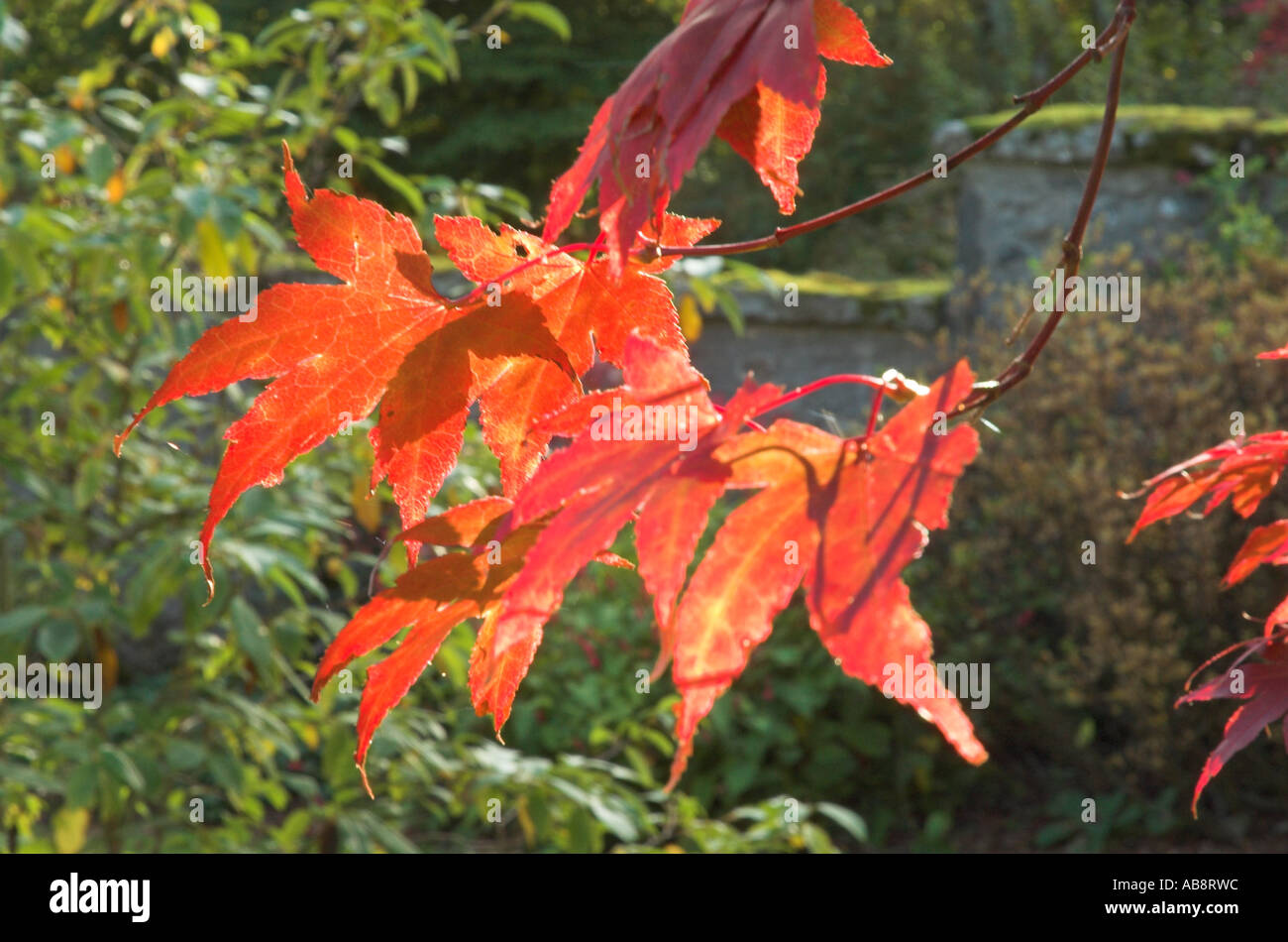 Kennethmont hi-res stock photography and images - Alamy