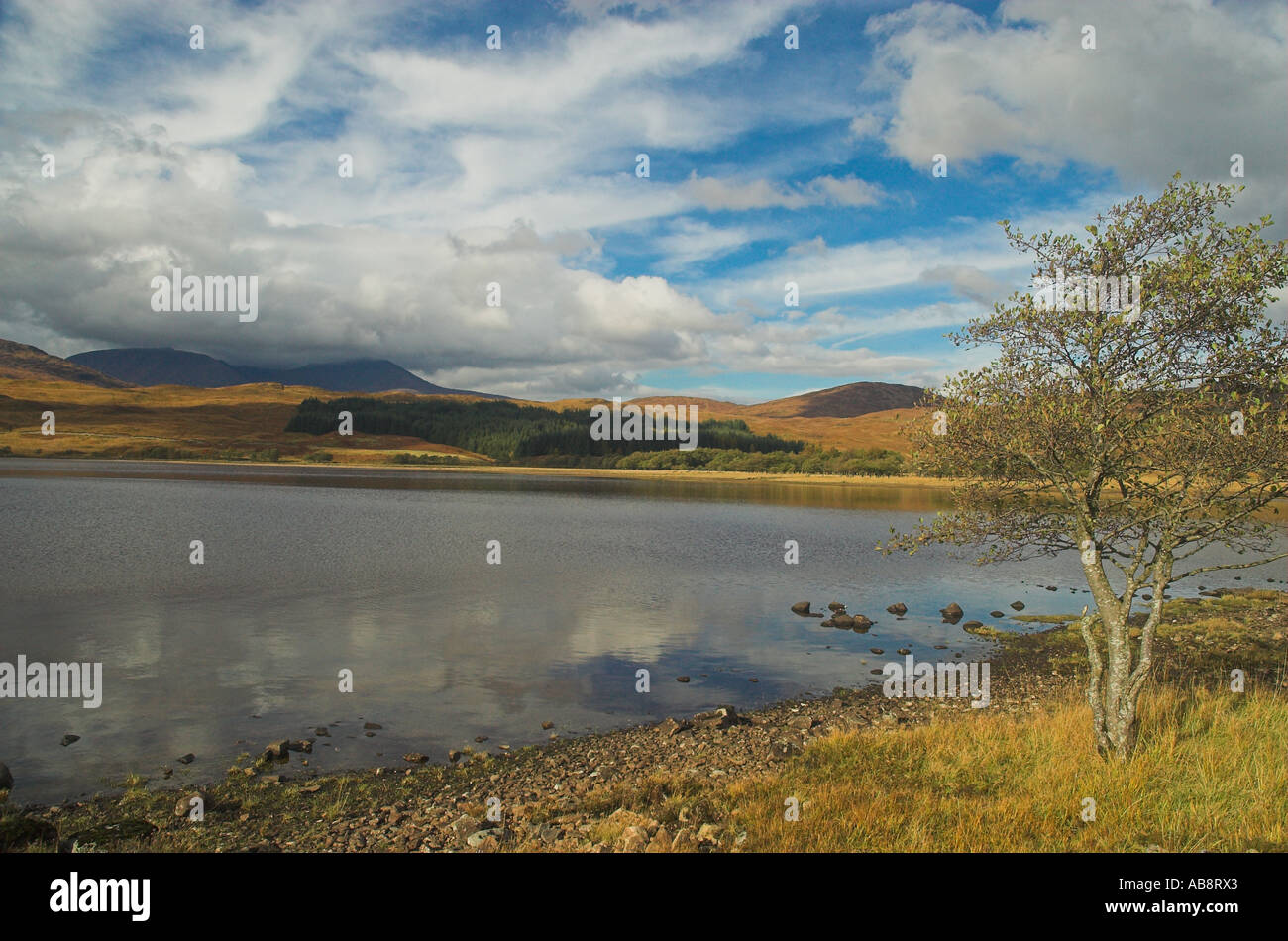 Fall orchy hi-res stock photography and images - Alamy