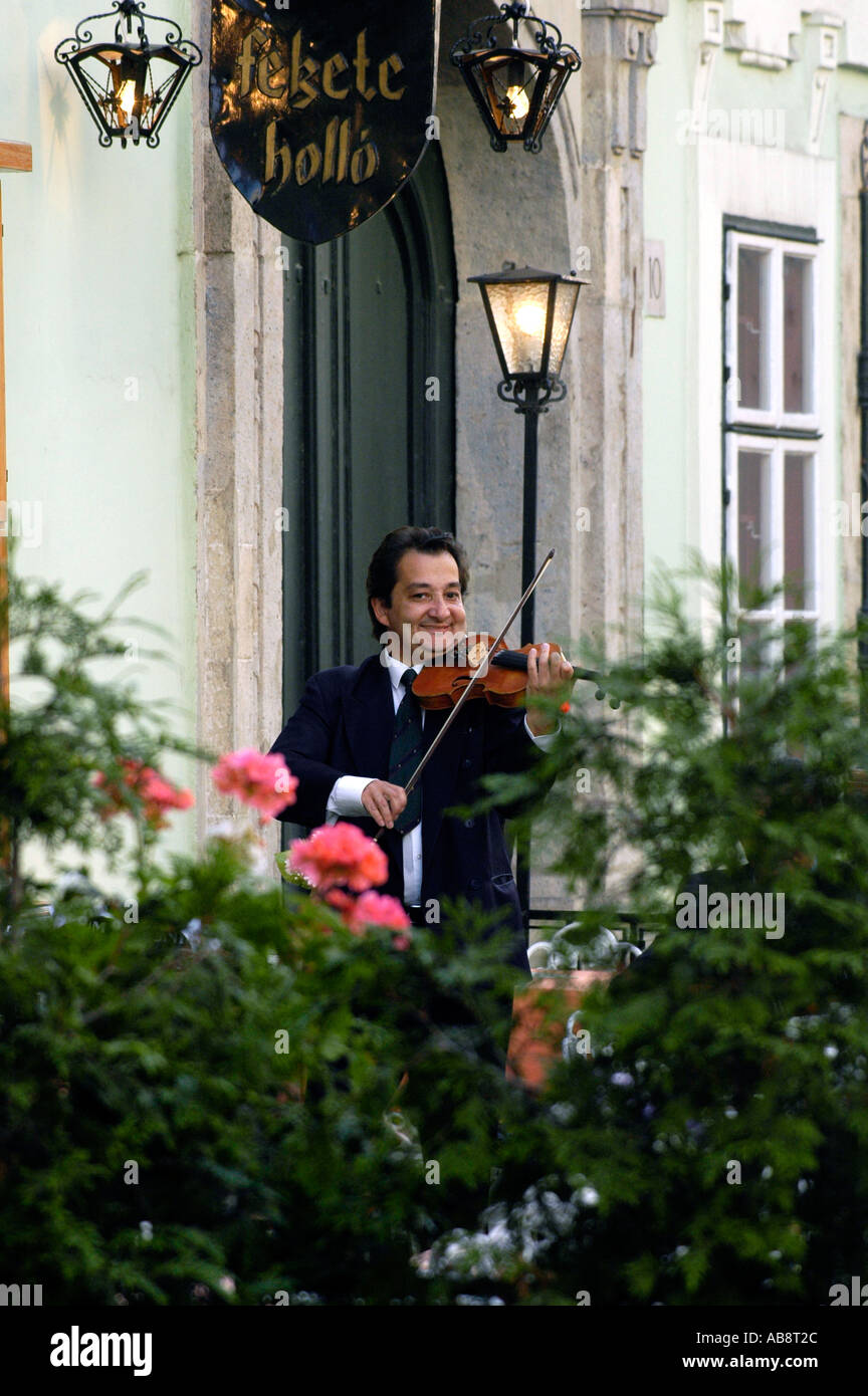 Violin Player Restaurant Stock Photos & Violin Player Restaurant Stock ...