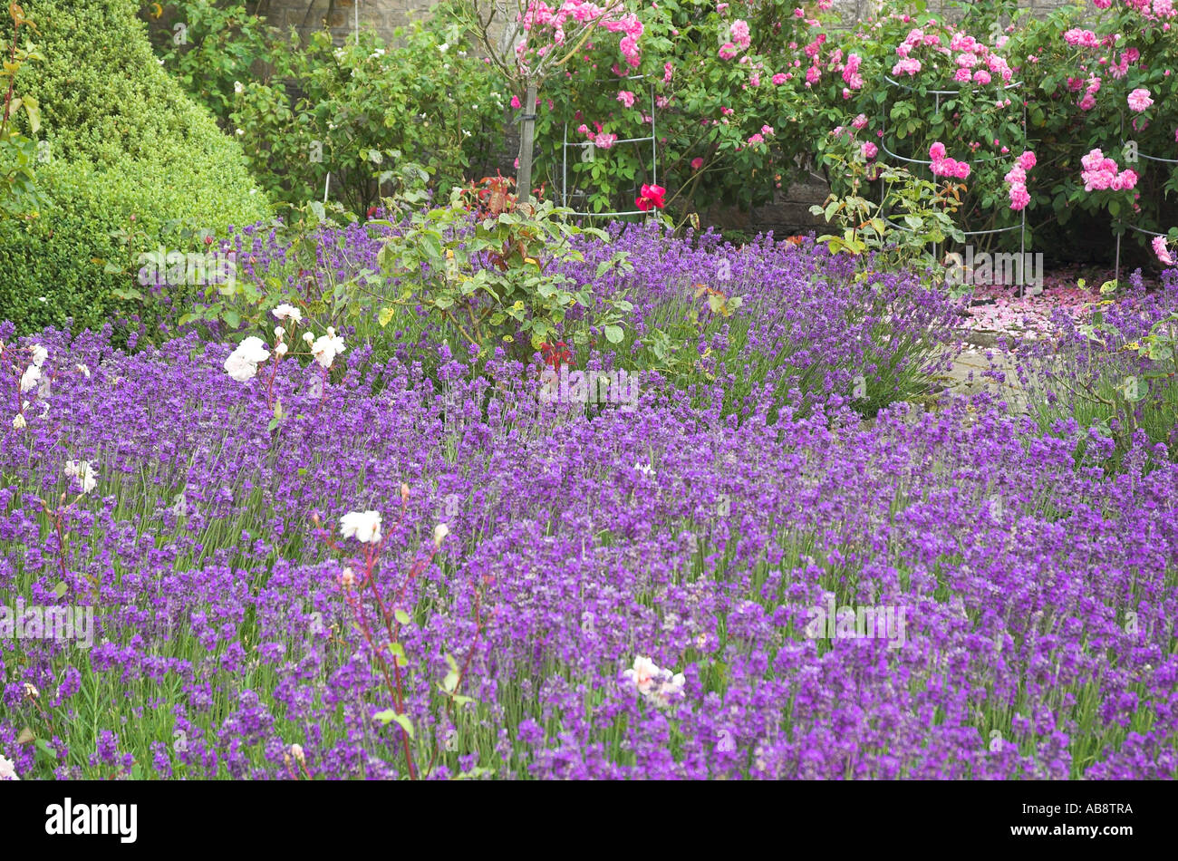 Gardens Hill of Tarvit House Fife Scotland Stock Photo - Alamy