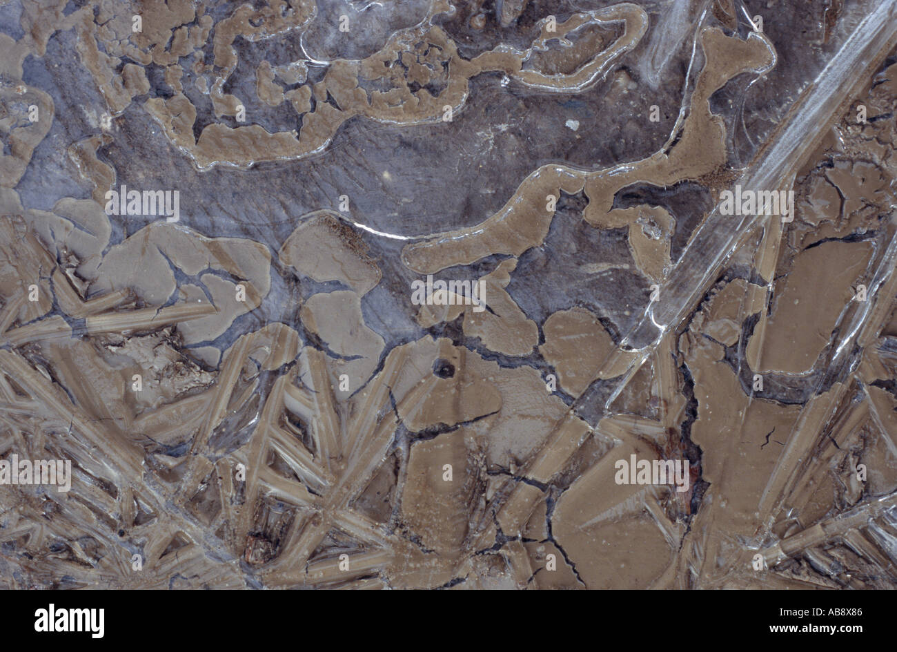 mud and ice, frozen Stock Photo - Alamy