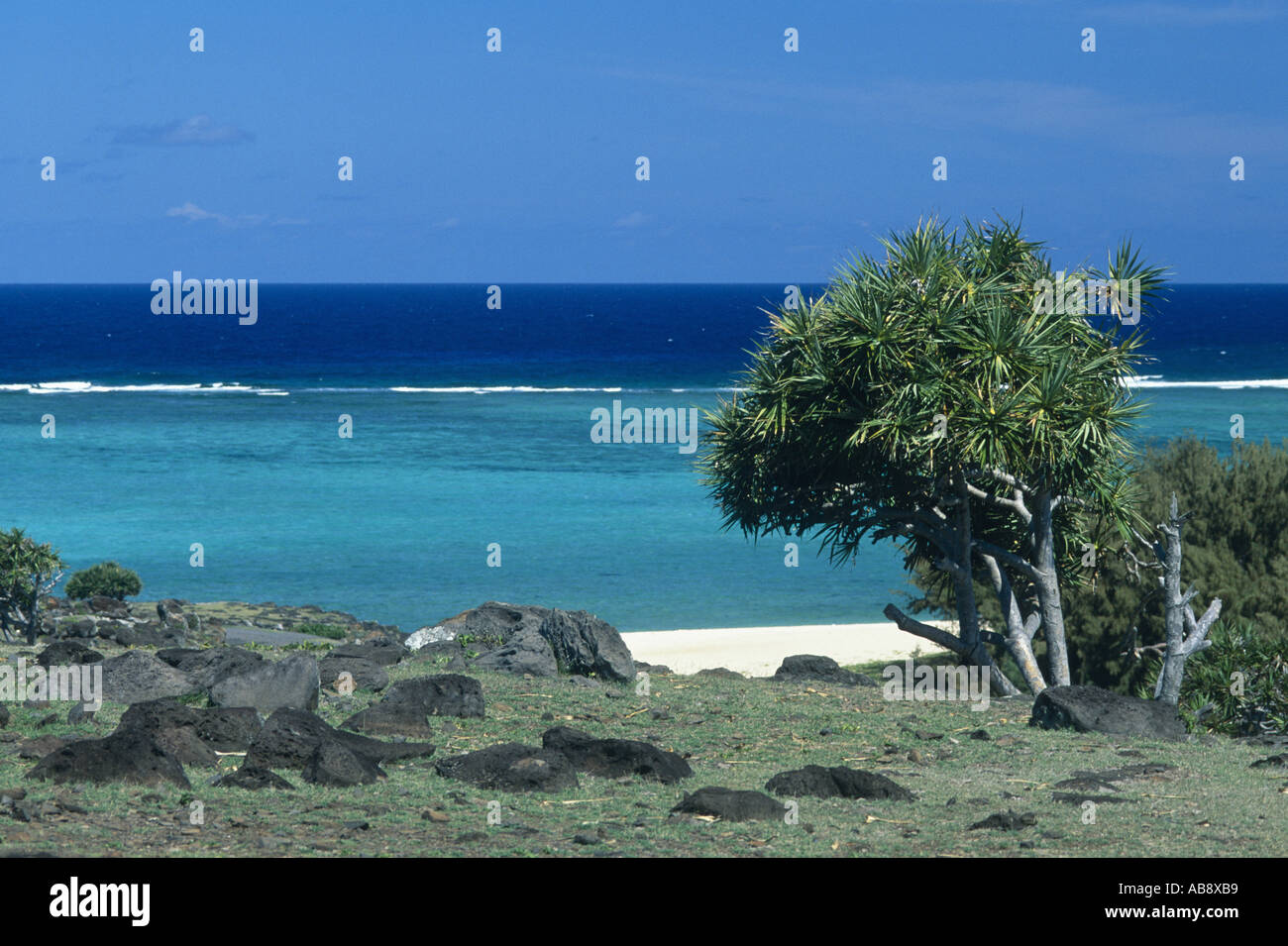 tropical sandy beach, view at the ocean, Mauritius, Rodrigues Stock ...