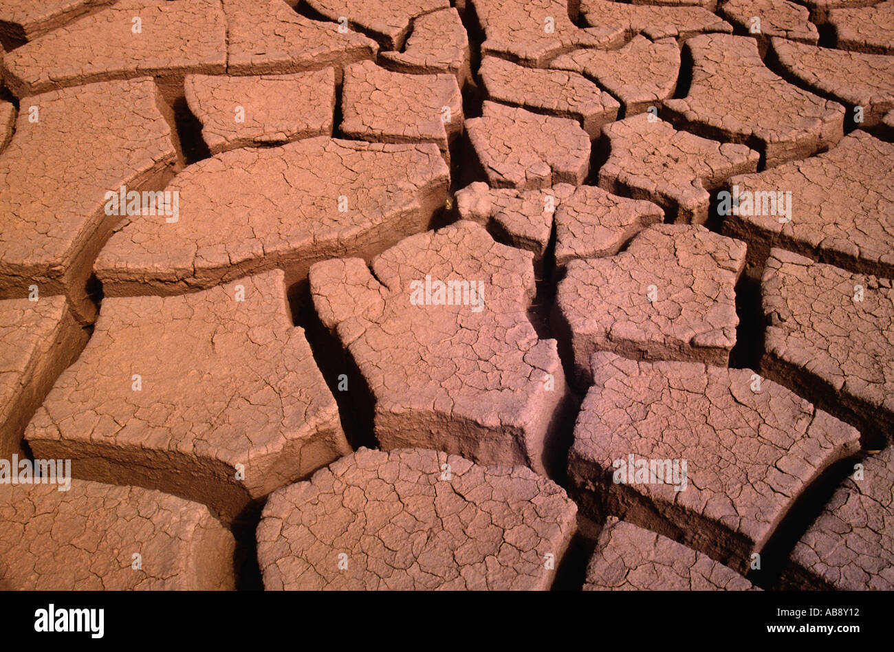 Soil zones hi-res stock photography and images - Alamy