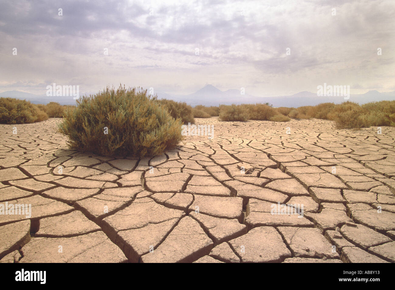 dry soil, Chile, Region II, Salar de Atacama Stock Photo - Alamy