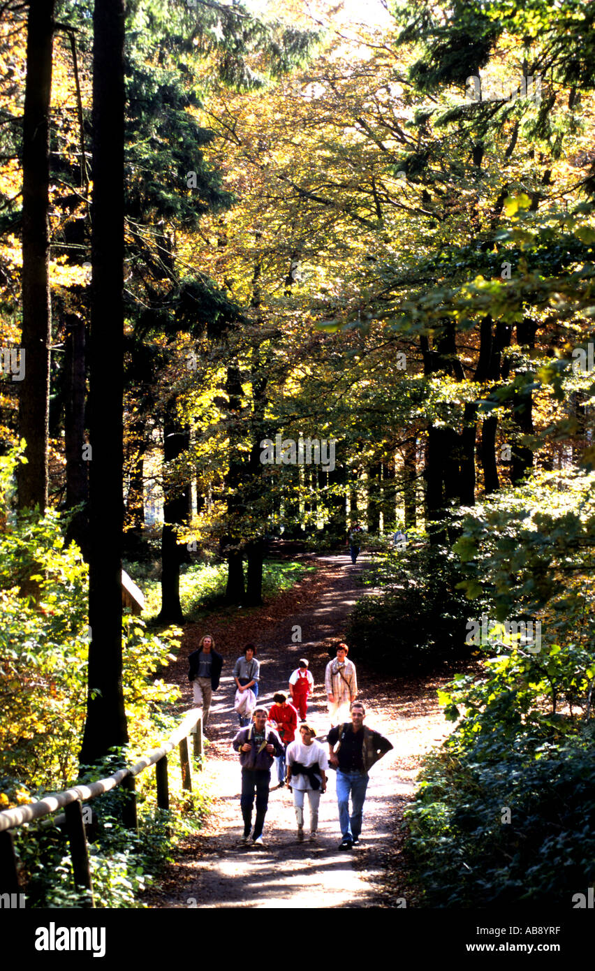 Germany Thuringia, Thuringian, Wald Wood Trees Walker People family ...