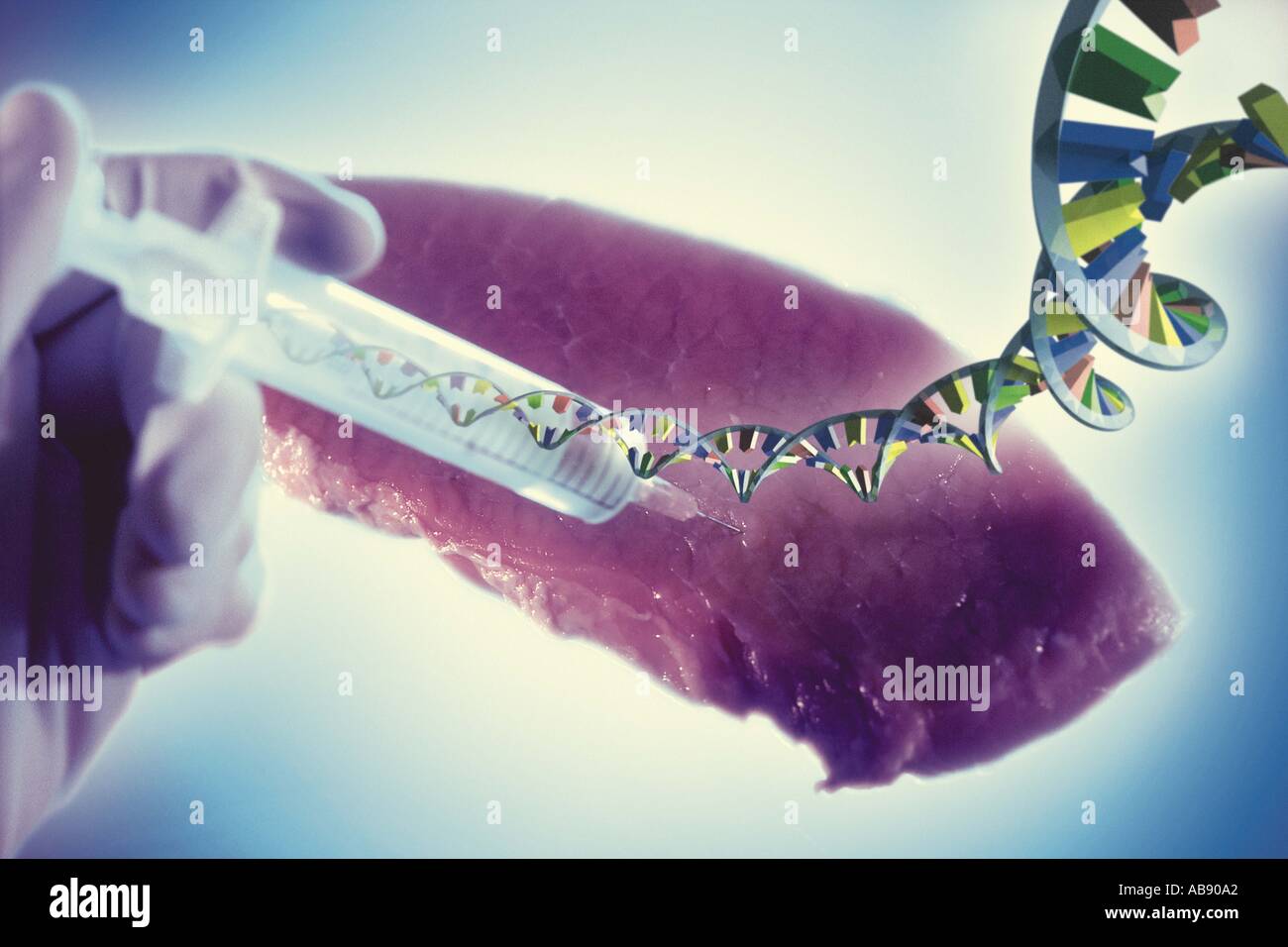 Gm food meat hi-res stock photography and images - Alamy