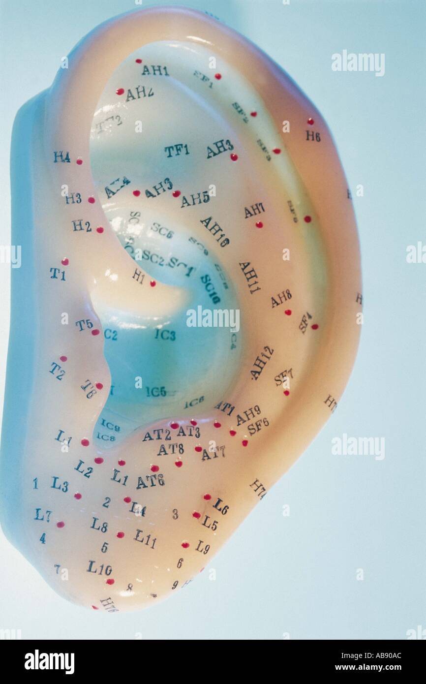 Auricular therapy hi-res stock photography and images - Alamy
