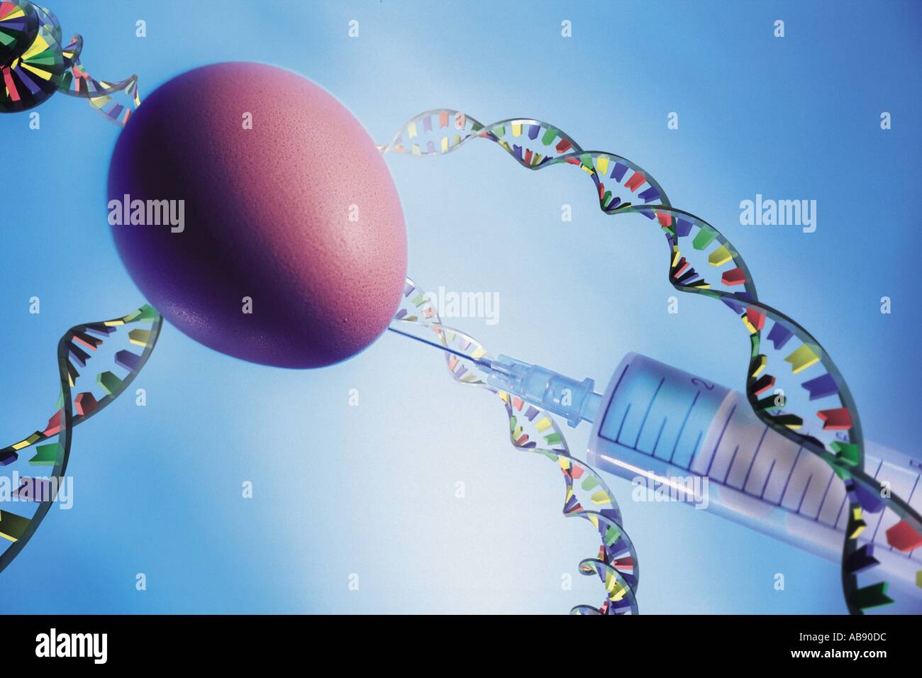 Genetic test egg hi-res stock photography and images - Alamy