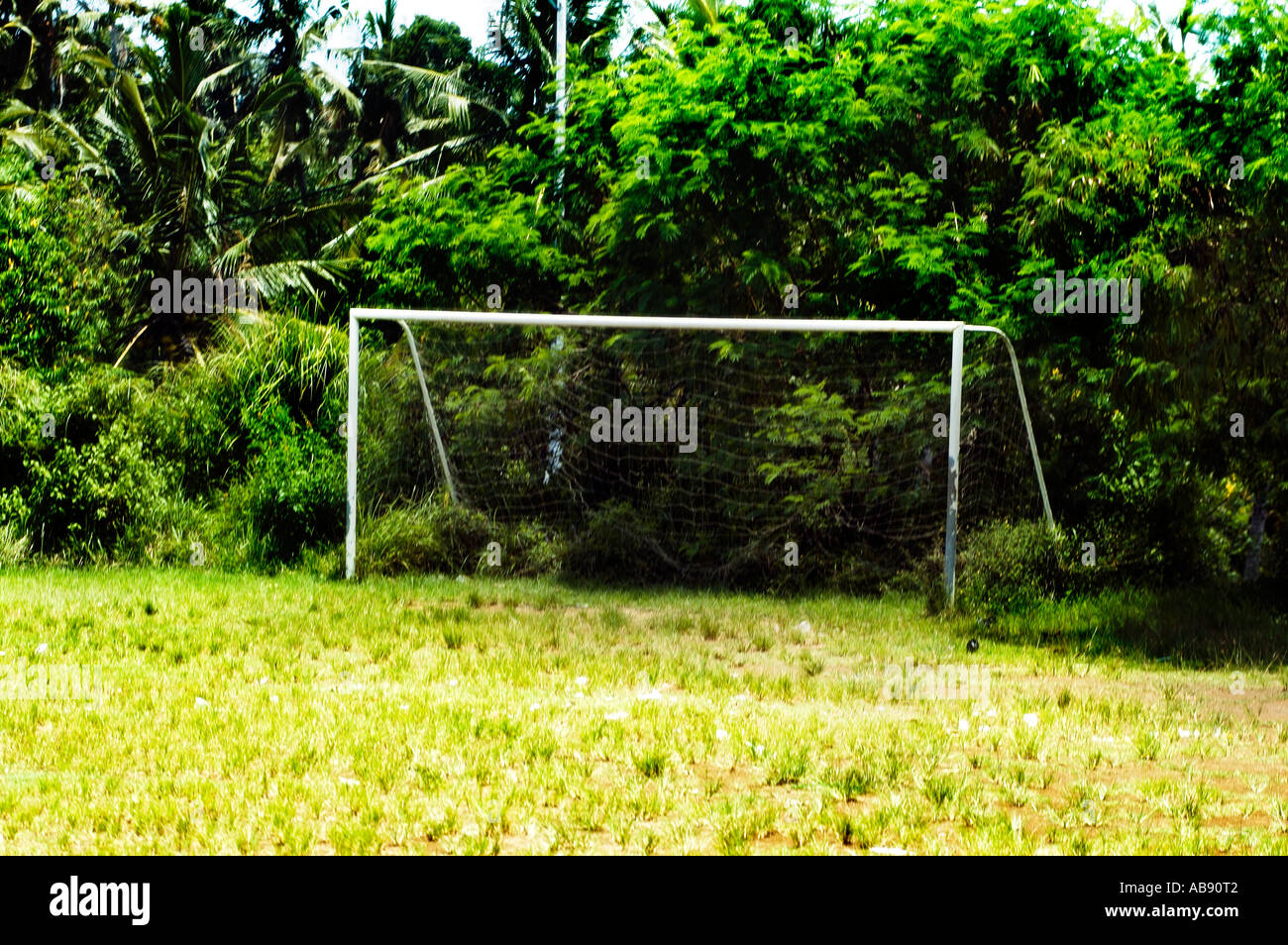 football goal posts in overgrown grass and tropical palms Stock Photo ...