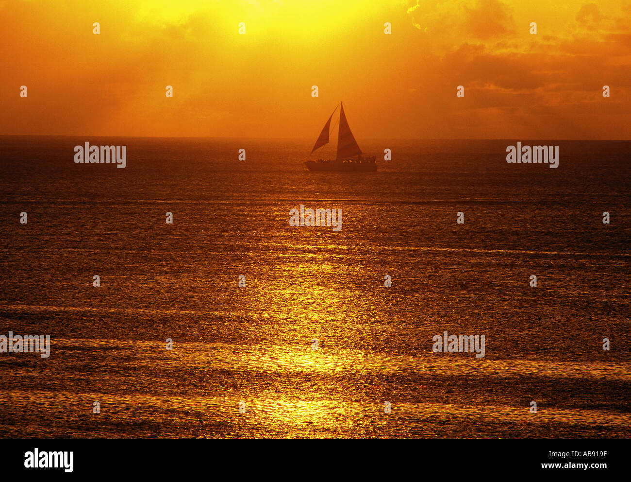 Sailing boat in sunset Stock Photo - Alamy